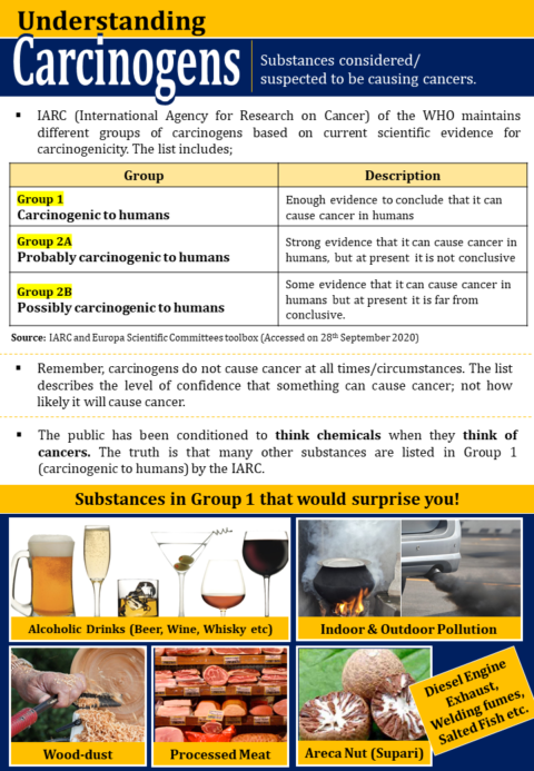 Types of Carcinogen: Definition, Meaning & Carcinogenic Foods