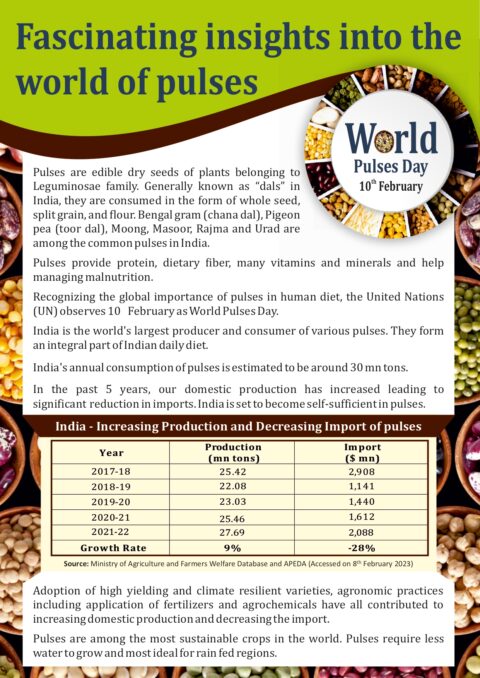 World Pulses Day:Some Interesting Facts About pulses