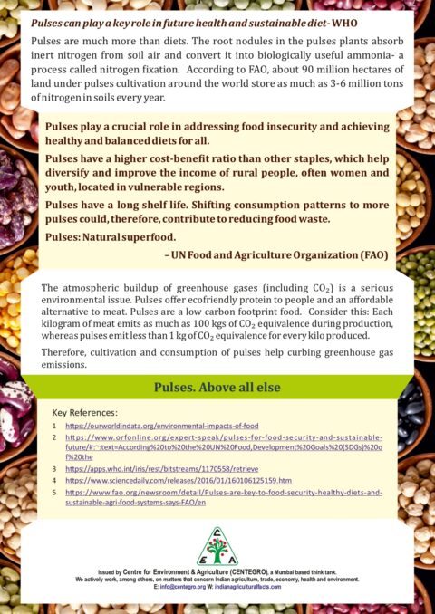 World Pulses Day:Some Interesting Facts About pulses